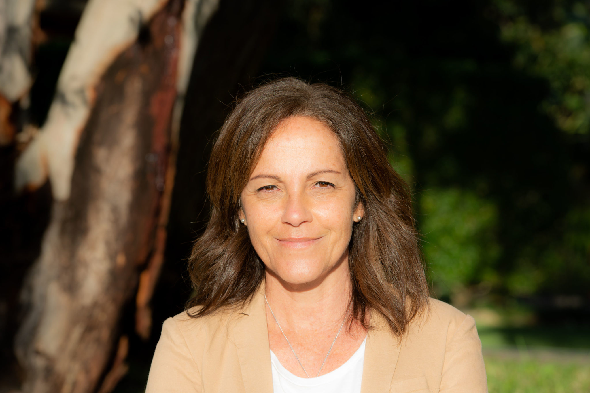 About - Flow in Nature